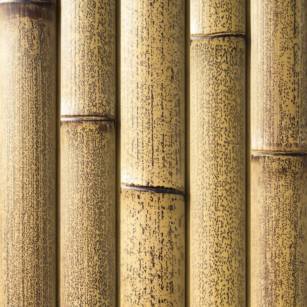 Synthetic Bamboo Collection | Realistic, Fire & Split Proof
