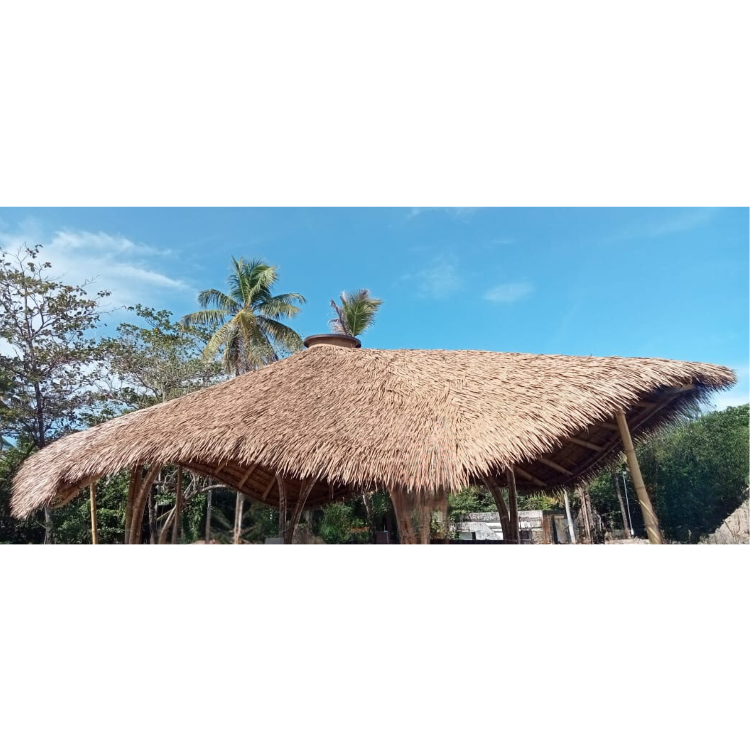 Synthetic Thatch Roofs for Parabola-Shaped Roof Structure | India